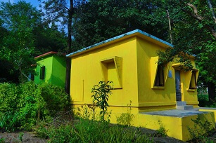 Photo, Video & Media Gallery | Rishikesh Yogpeeth