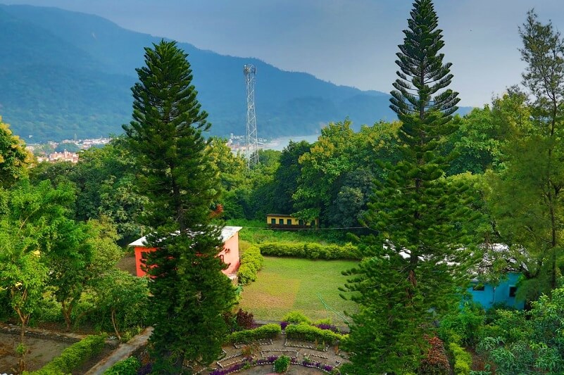 Photo, Video & Media Gallery | Rishikesh Yogpeeth